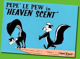 A High Country Housewife: How to get rid of skunk smell in your home ...